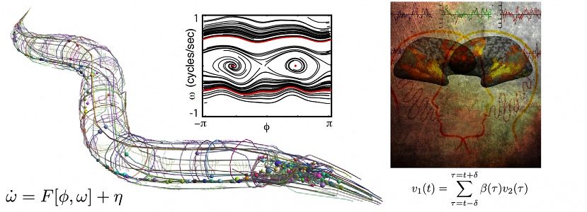 Biological Physics Theory Unit (Greg Stephens) | OIST Groups